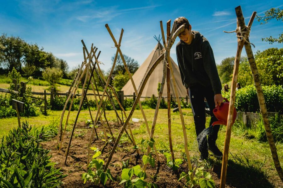 Growing Community Through Forest Gardening - Doing good things together
